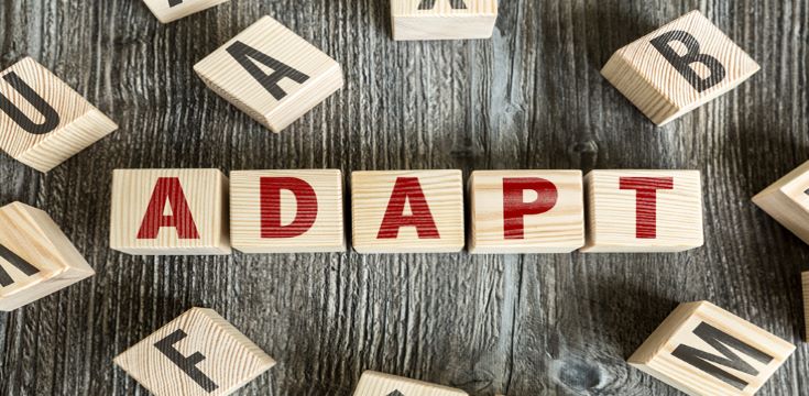 Adaptation Is Key to Survival for SA SMMEs