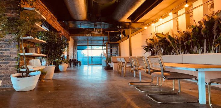 Lush Lounge Aesthetically Pleasing Space