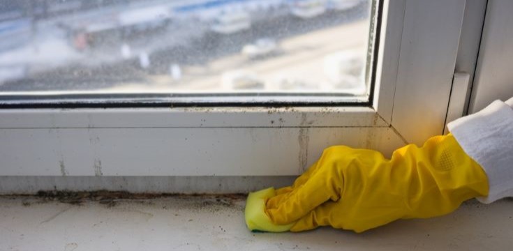 How To Get Rid Of Mold Around Windows