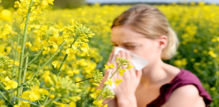 Tips for Navigating Spring Pollen Season